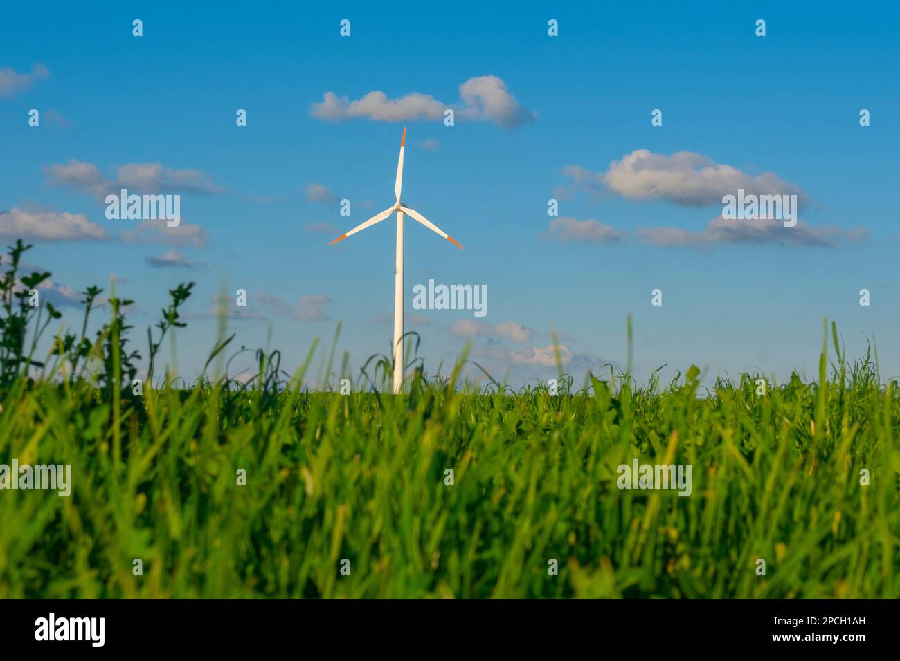Wind generator in green grass. renewable energy.Alternative energy ...