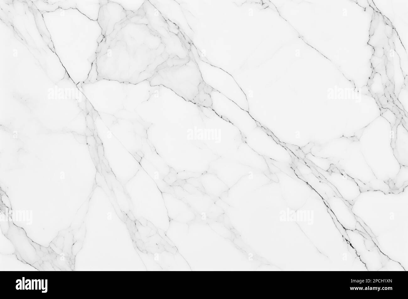 Calcutta Marble Texture