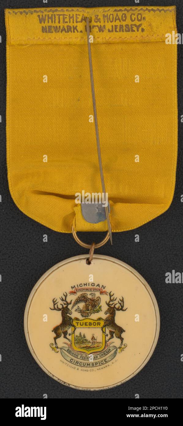 Colonel Thomas W. Johnston of Co. M and Co. K, 2nd Michigan Cavalry ...