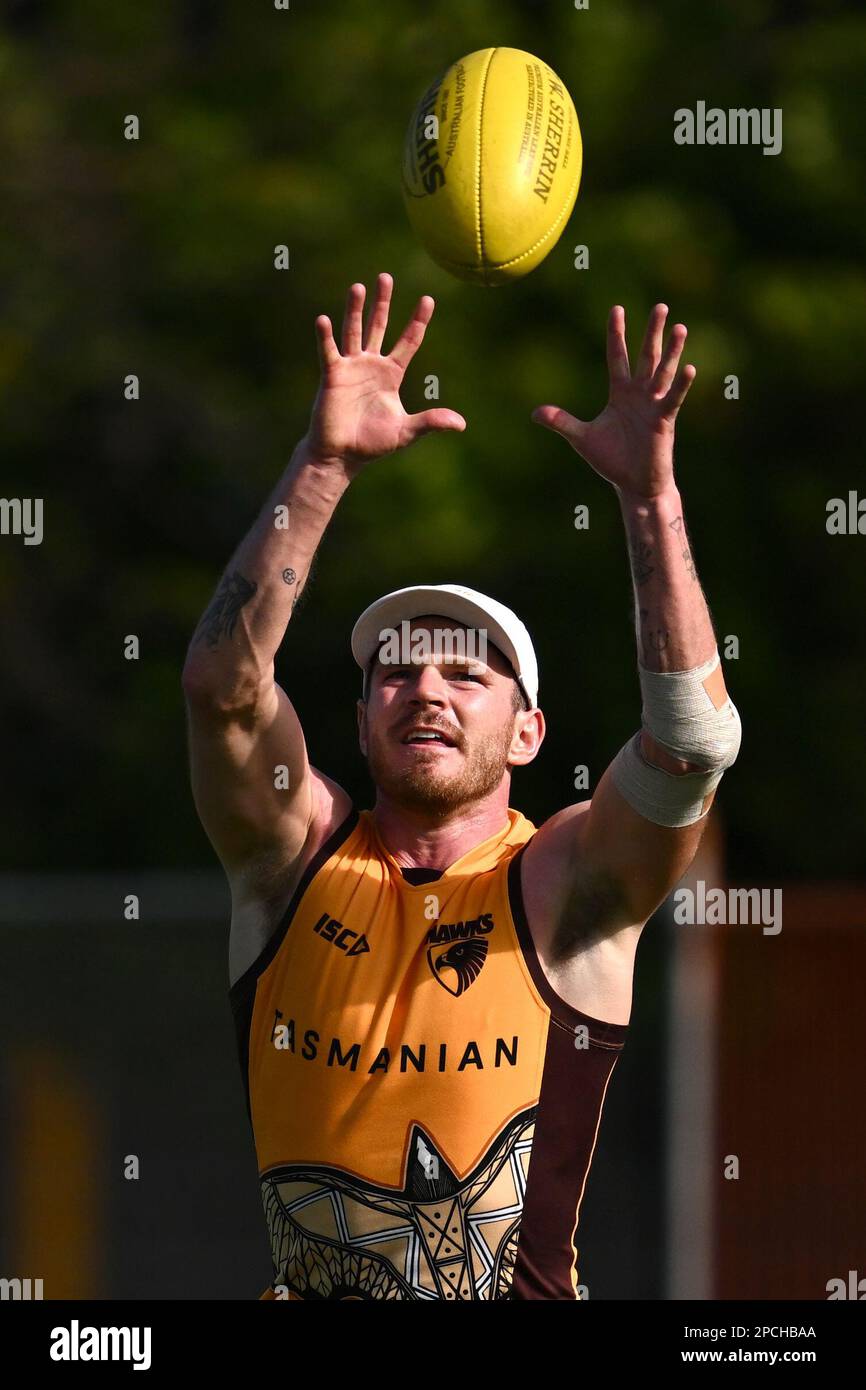 Blake Hardwick of Hawthorn during an AFL training session at Waverley ...