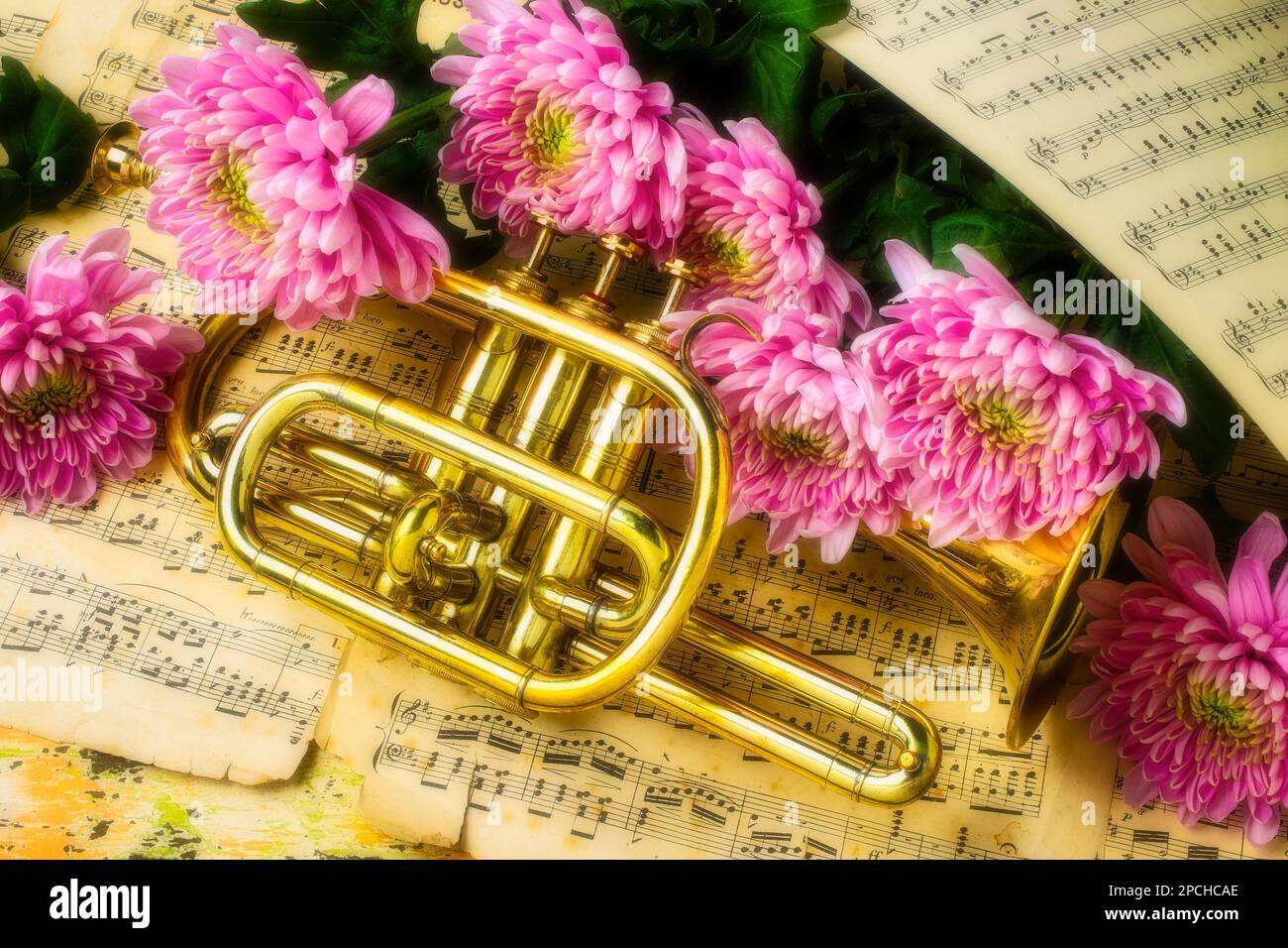 Collection of mums hi-res stock photography and images - Alamy