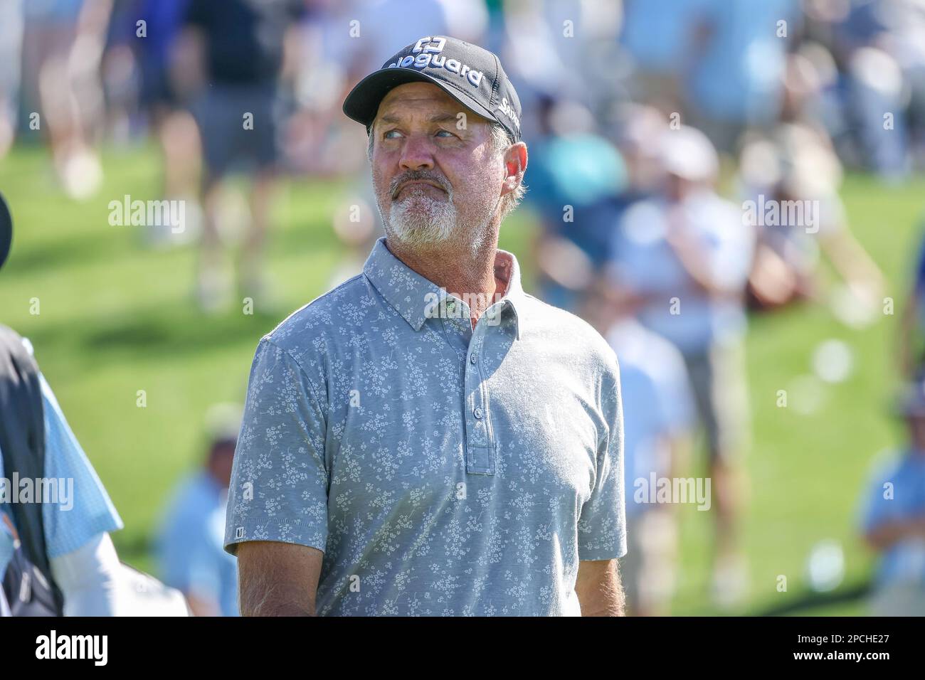 Ponte 769 hi-res stock photography and images - Alamy