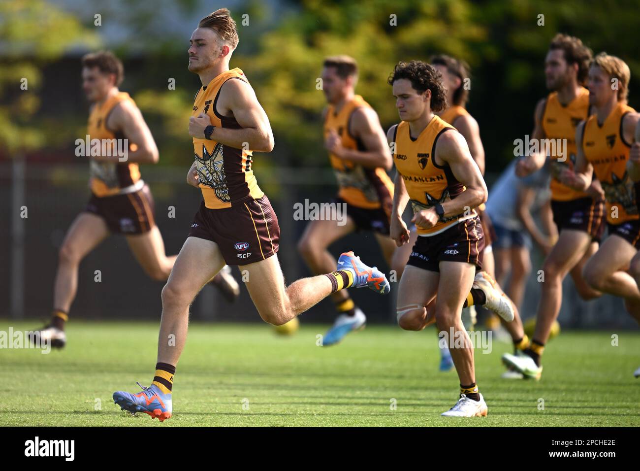 Josh Morris of Hawthorn (left) during an AFL training session at ...
