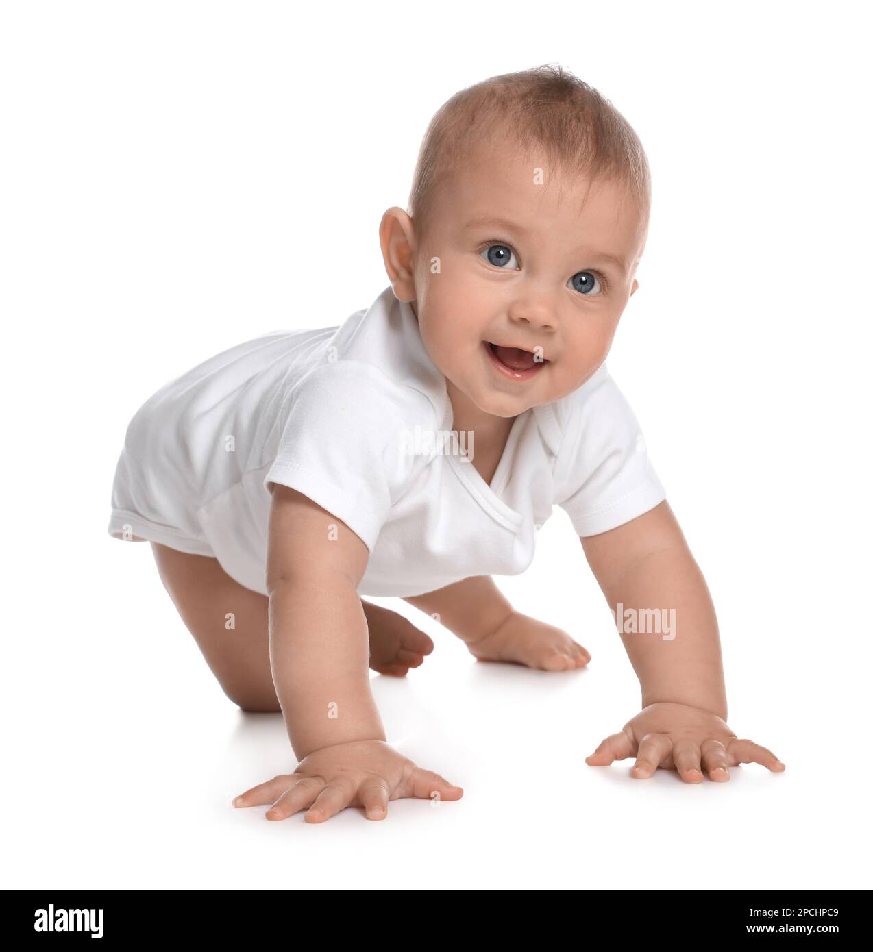 Cute little baby crawling on white background Stock Photo - Alamy