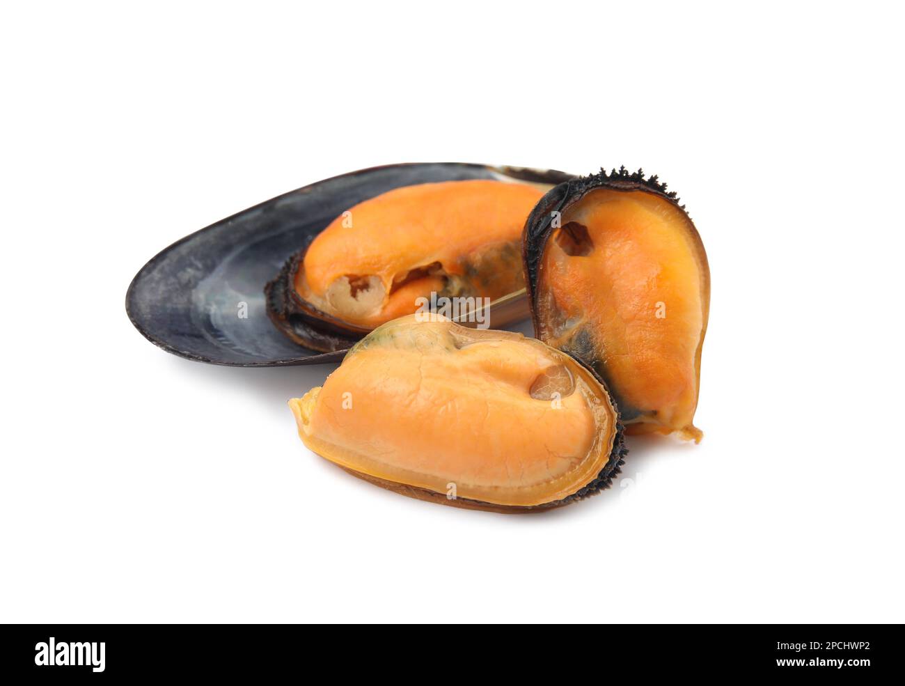 Delicious cooked mussels and shell on white background Stock Photo - Alamy
