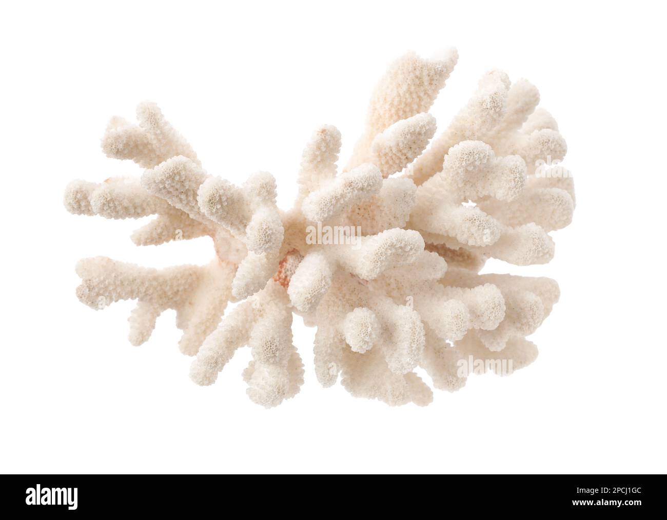 Underwater view beautiful tropical reef Cut Out Stock Images & Pictures ...