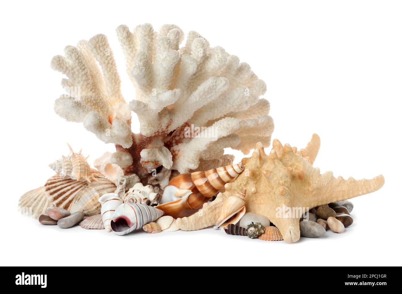 Starfish on rocks Cut Out Stock Images & Pictures - Alamy