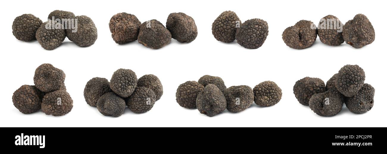 Set with expensive delicious black truffles on white background. Banner ...