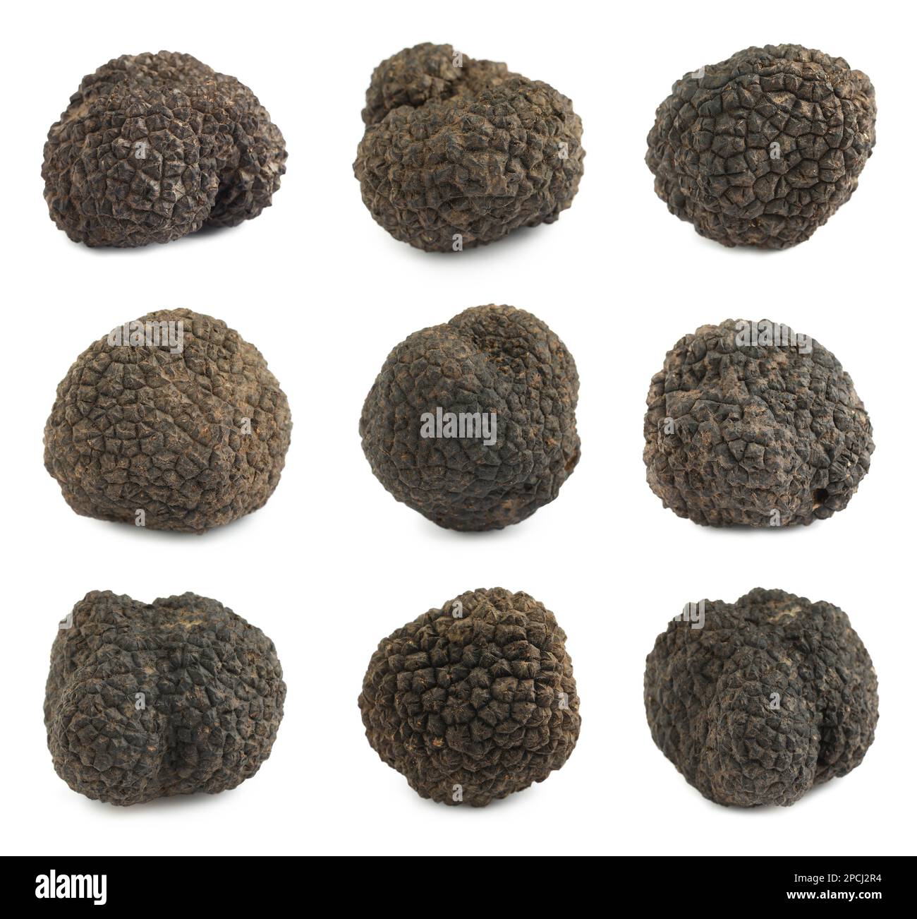 Set with expensive delicious black truffles on white background Stock ...