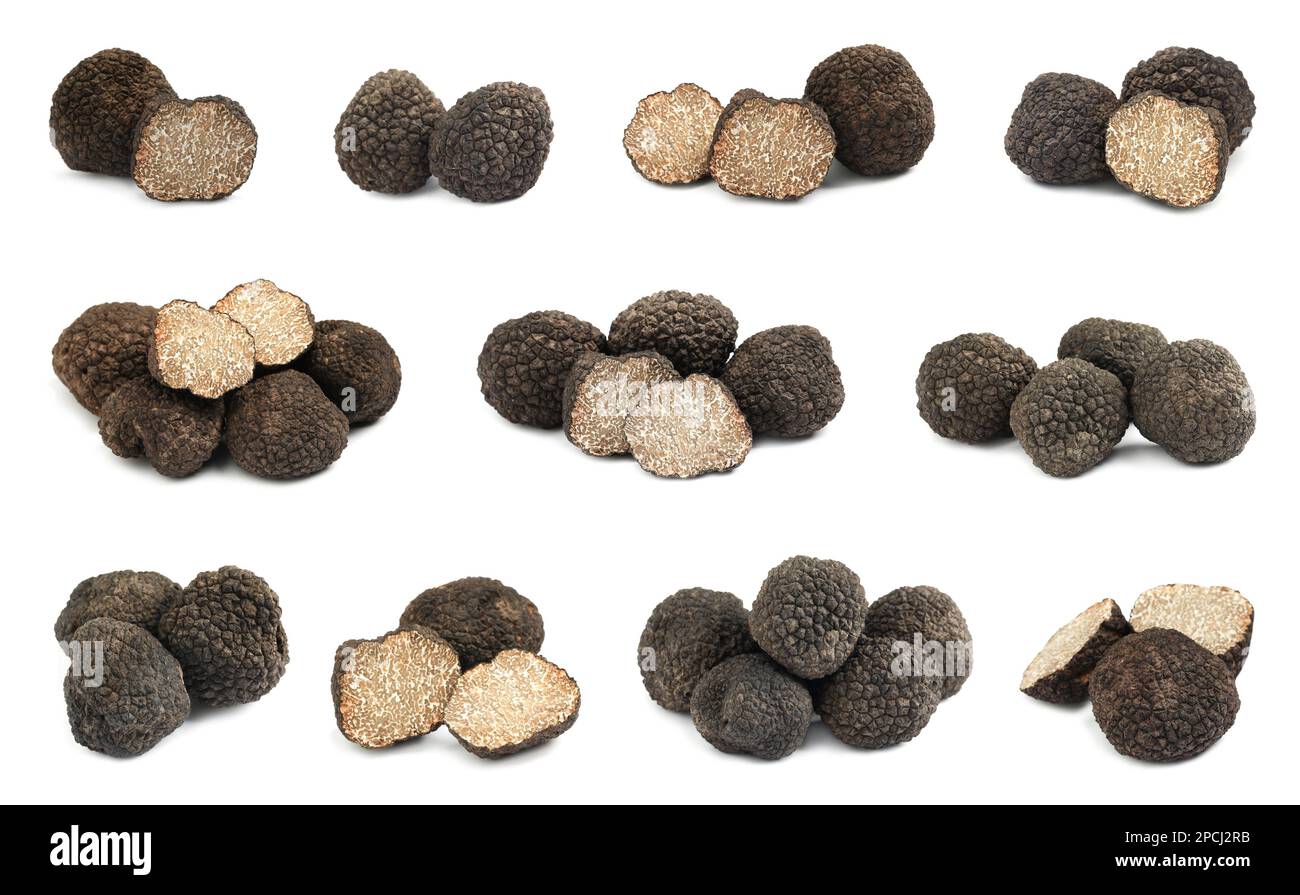 Set with expensive delicious black truffles on white background Stock ...