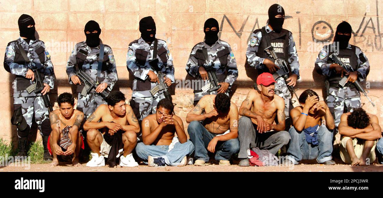 Gang members of the Mara Salvatrucha are seen after being captured by ...