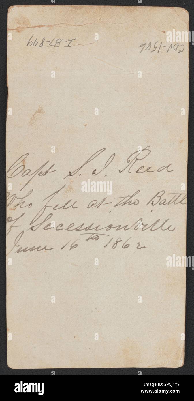 Captain Samuel J. Reed of Co. B, 2nd South Carolina Light Artillery ...