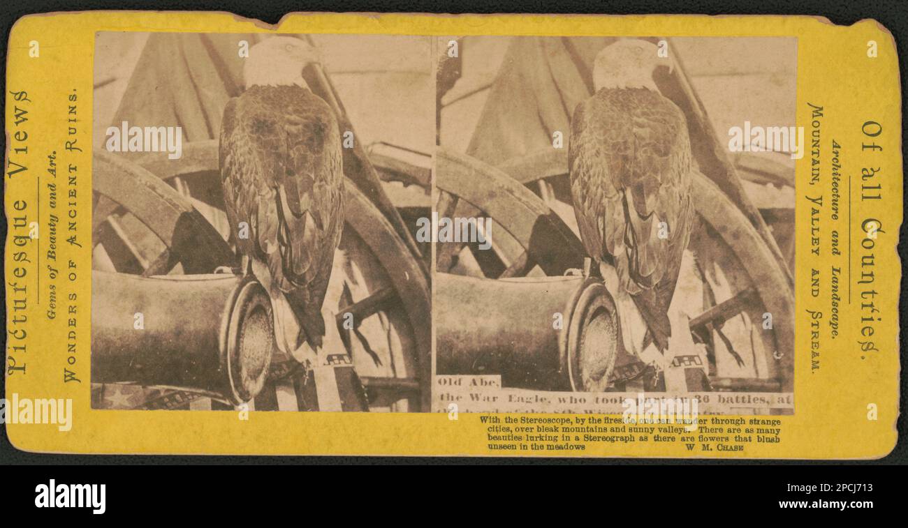 Old Abe, the War Eagle, who took part in 36 battles / W.M. Chase ...