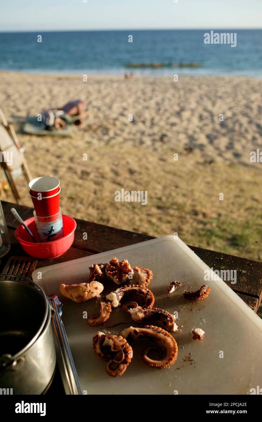 With golden sand and blue ocean in the background, a freshly caught ...