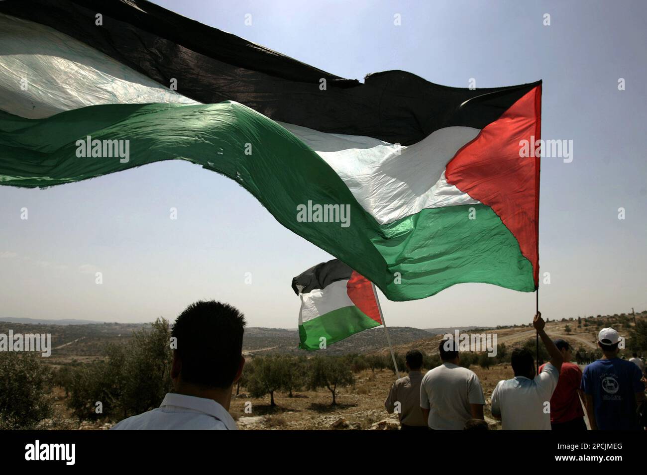 Palestinian protesters hold Palestinian flags during a demonstration at ...