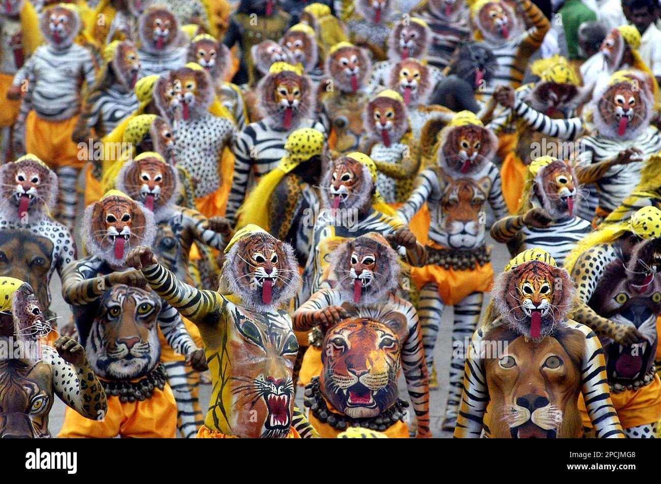 Tiger Dancers or 'Pulikali' dancers perform on the eve of Onam festival ...