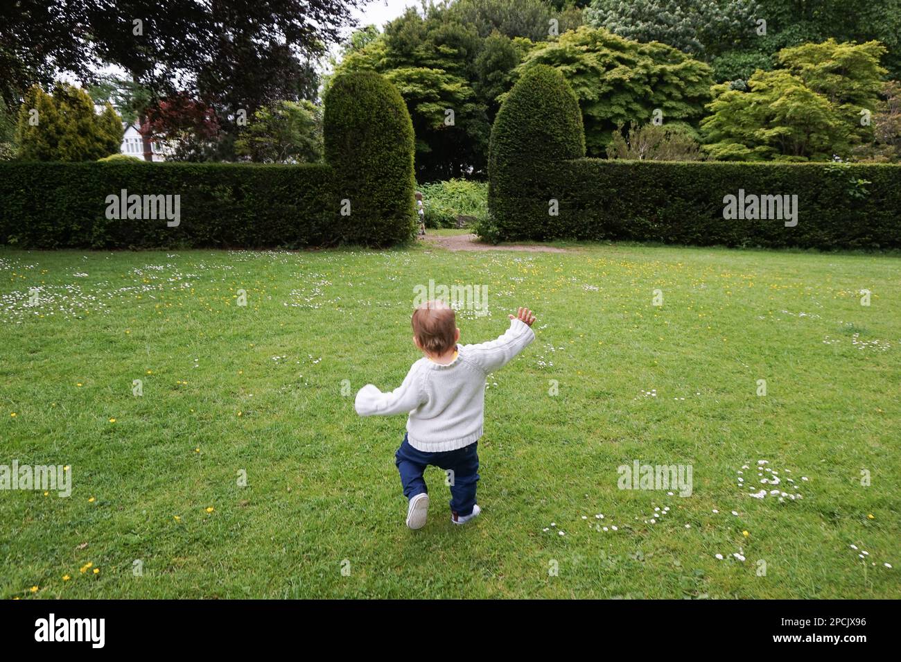 Running into bush hi-res stock photography and images - Alamy