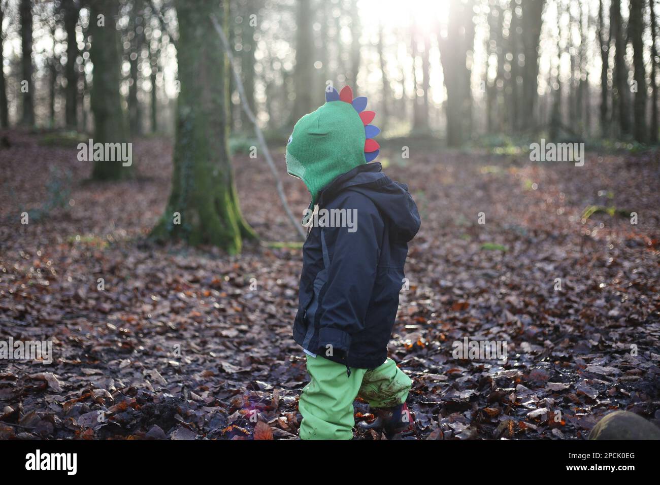 Toddler walking in the woods Stock Photo - Alamy Toddler walking in the woods Stock Photo - Alamy