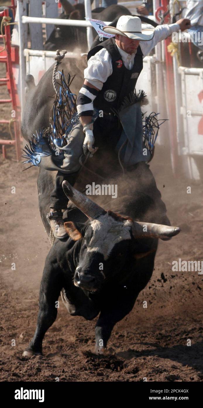 Vern Borntragger, of Deer Creek, Minn., hangs on tight to a bull ...