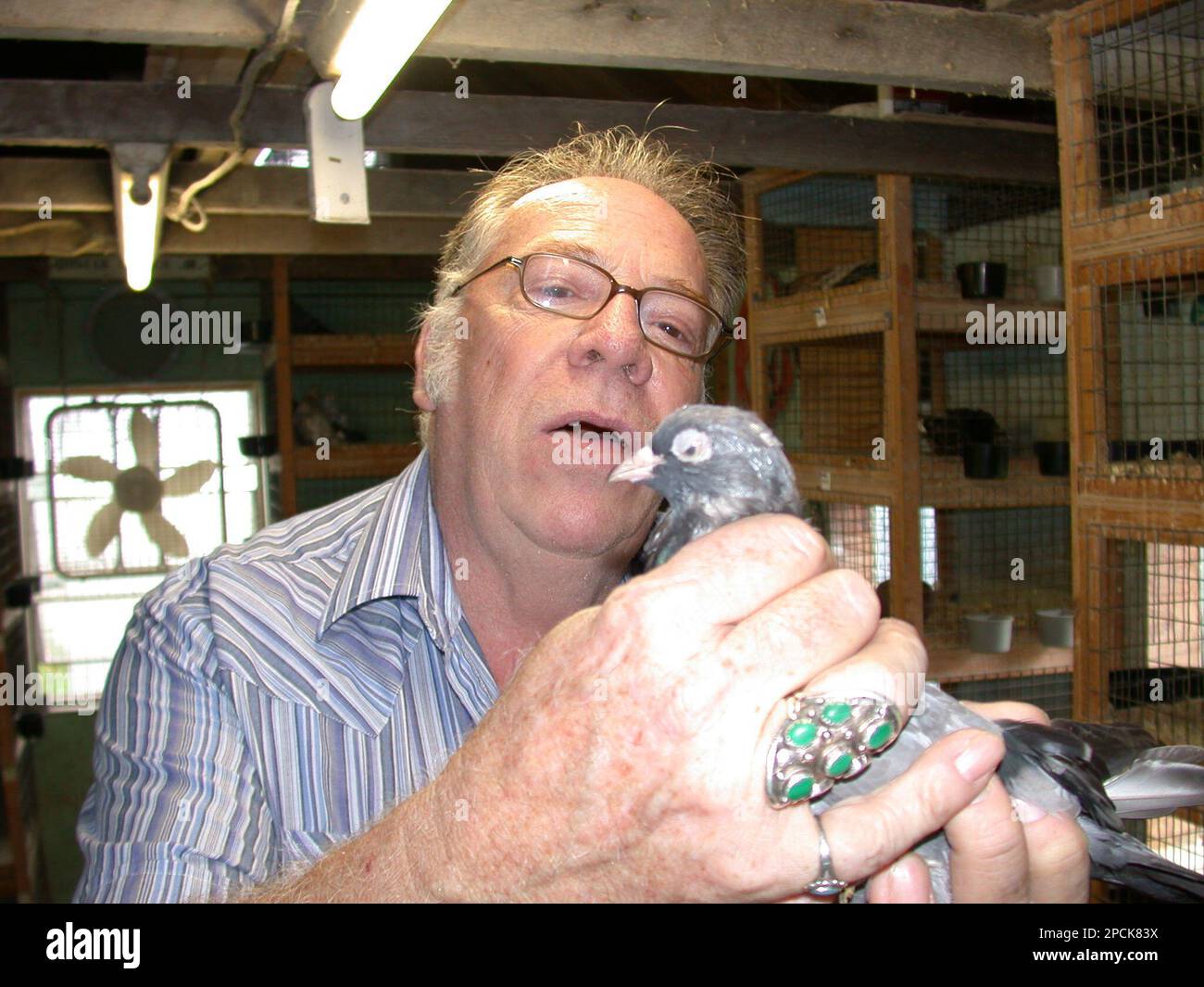 Dusty Cramer holds an opal parlor roller pigeon Monday, Aug. 28, 2006 ...