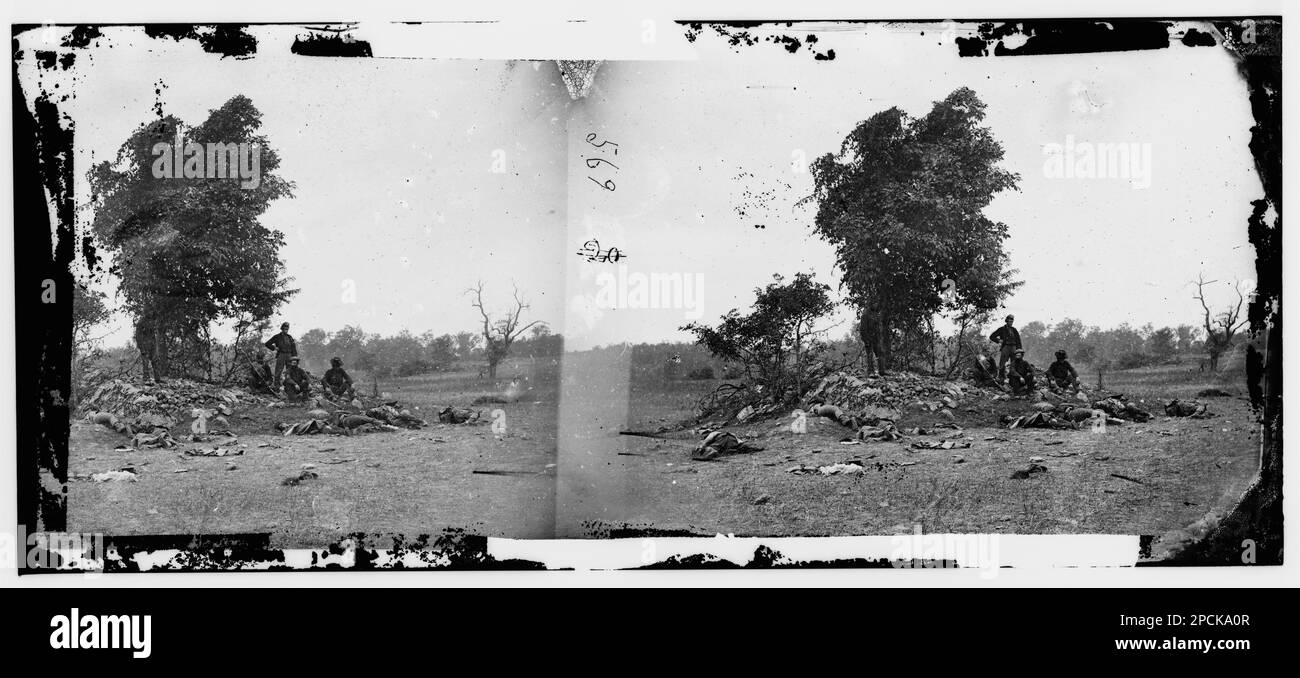View on Battle-field of Antietam. Civil war photographs, 1861-1865 ...
