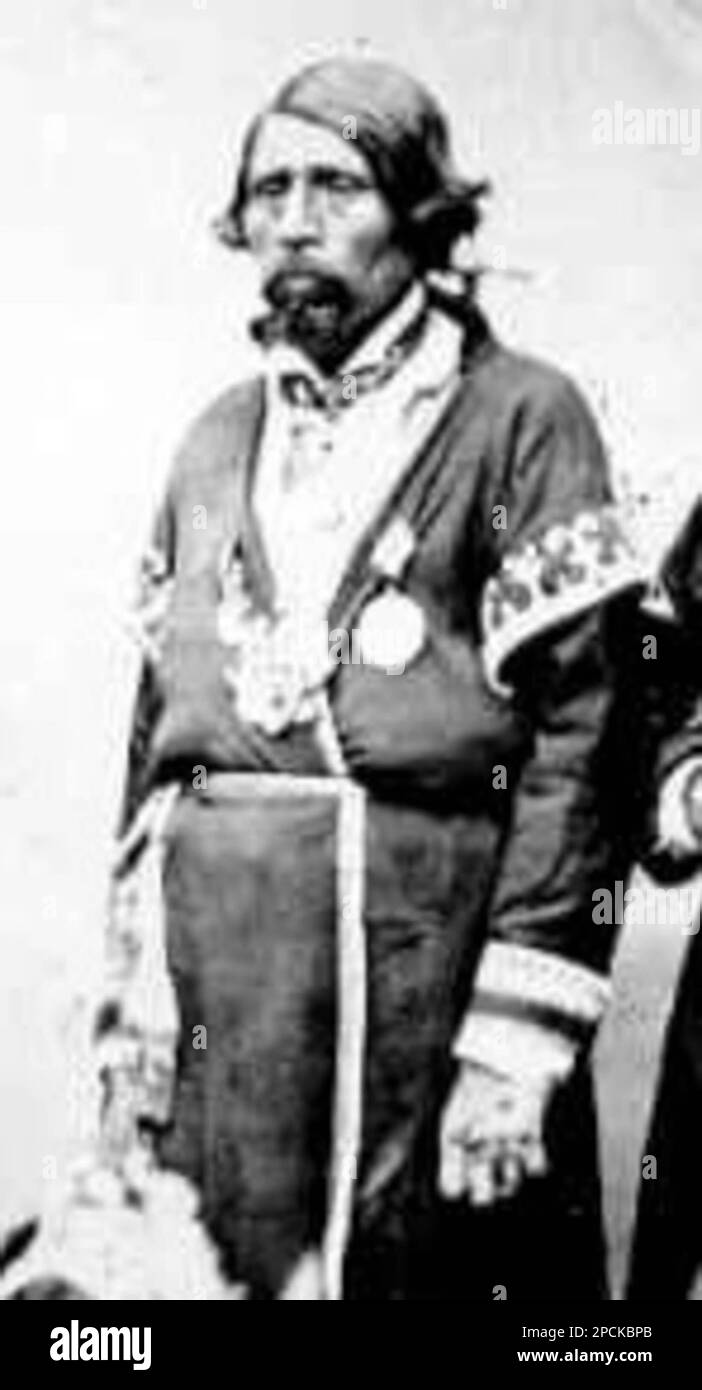 Jacques-Pierre Peminuit Paul with medal from Pope Pius IX, 1856 Stock ...