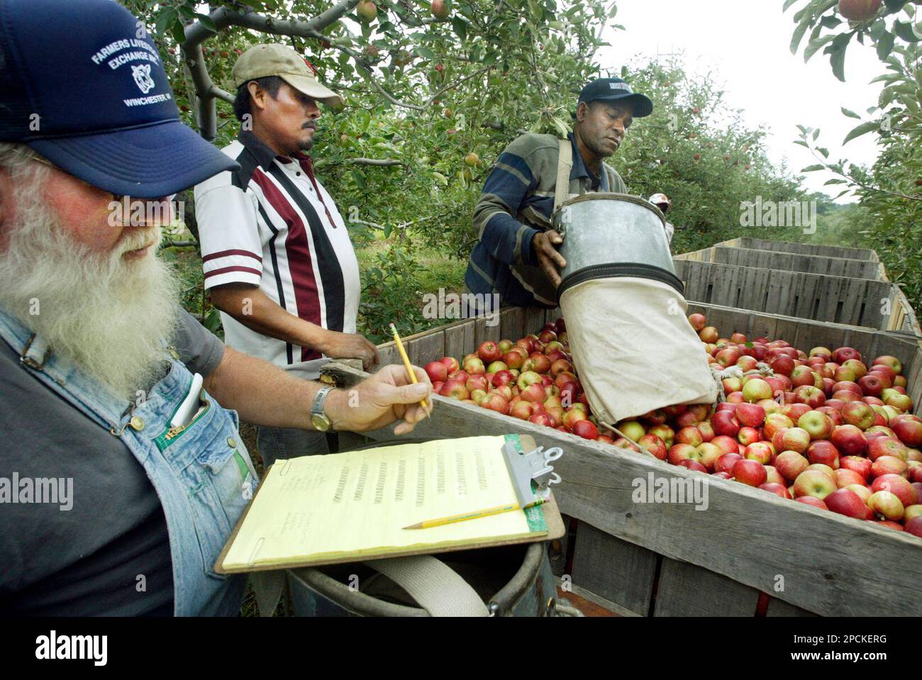 Charles Reynolds, left, and MIguel Castro, second from left, count ...