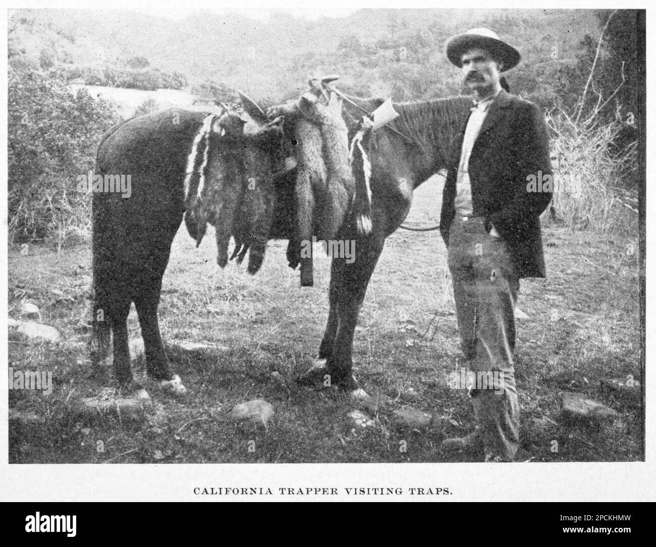 Photo of California trapper with horse, visiting his traps Stock Photo ...