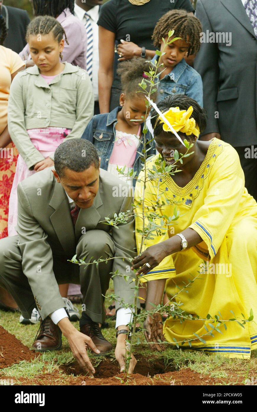 US Senator Barack Obama, left. planting an African Olive Tree at Uhuru ...