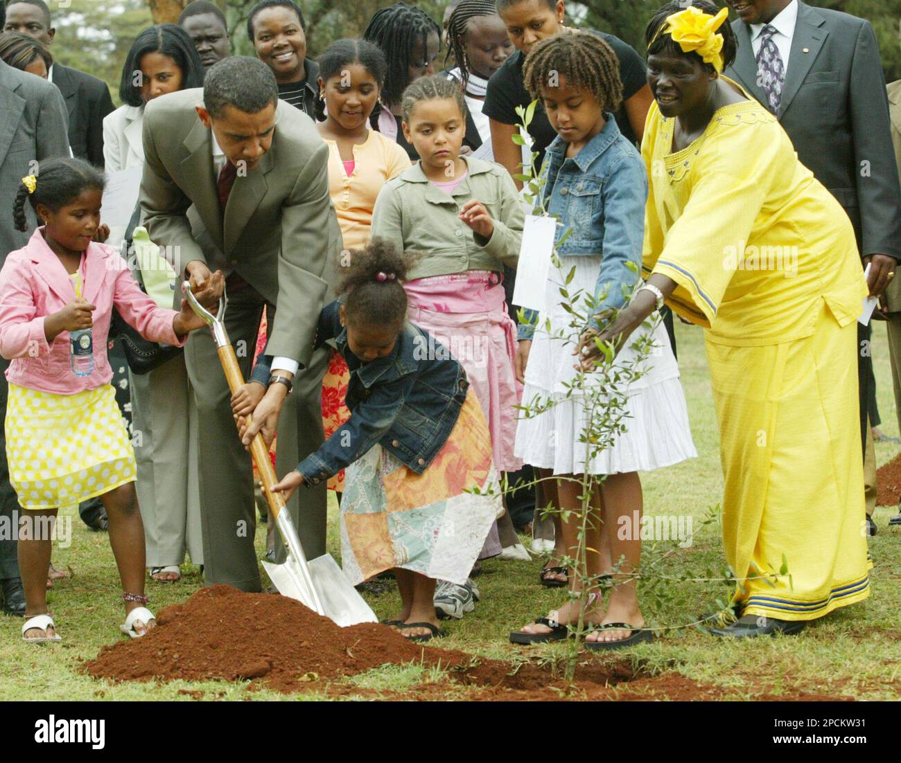 US Senator Barack Obama, left. planting an African Olive Tree at Uhuru ...