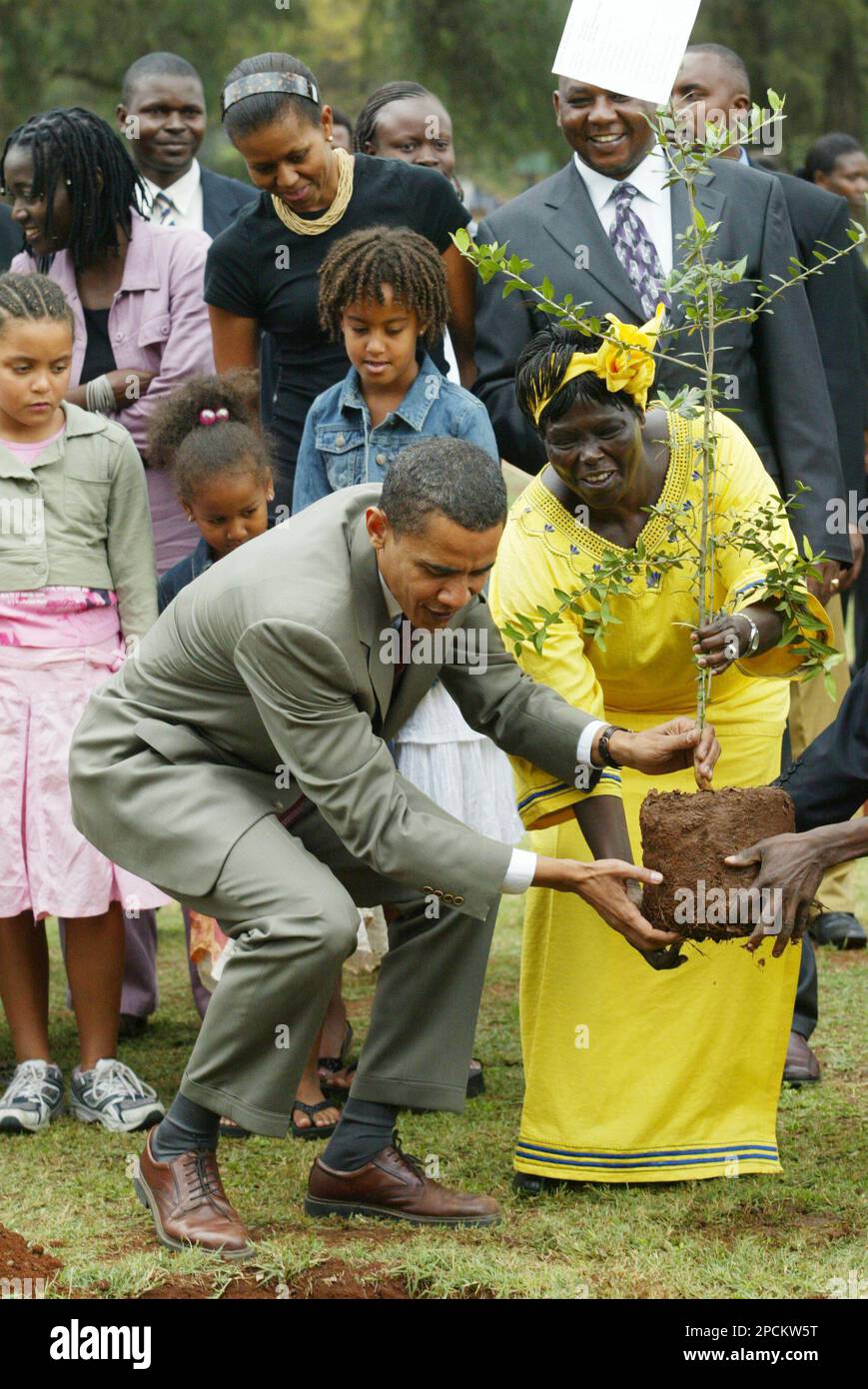 US Senator Barack Obama, left. planting an African Olive Tree at Uhuru ...