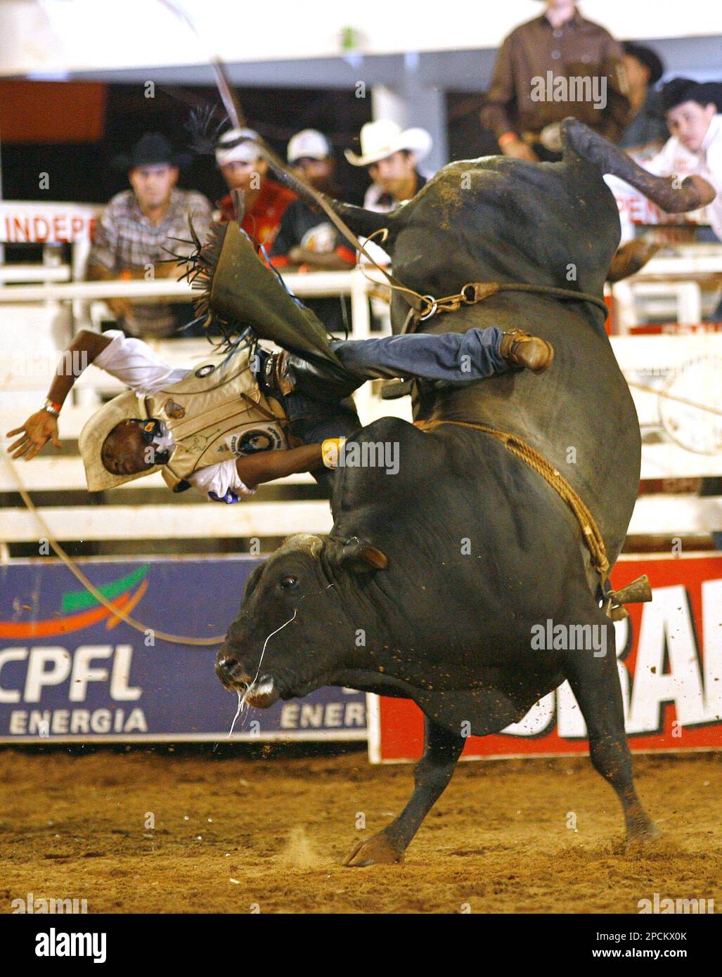 A cowboy is thrown from a bull during the bull riding competition at ...