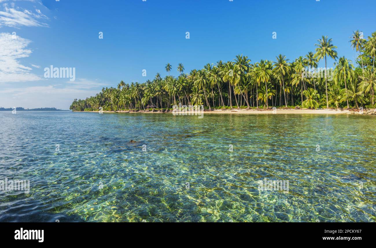Deserted tropical island beach lined with palm trees Stock Photo - Alamy Deserted tropical island beach lined with palm trees Stock Photo - Alamy