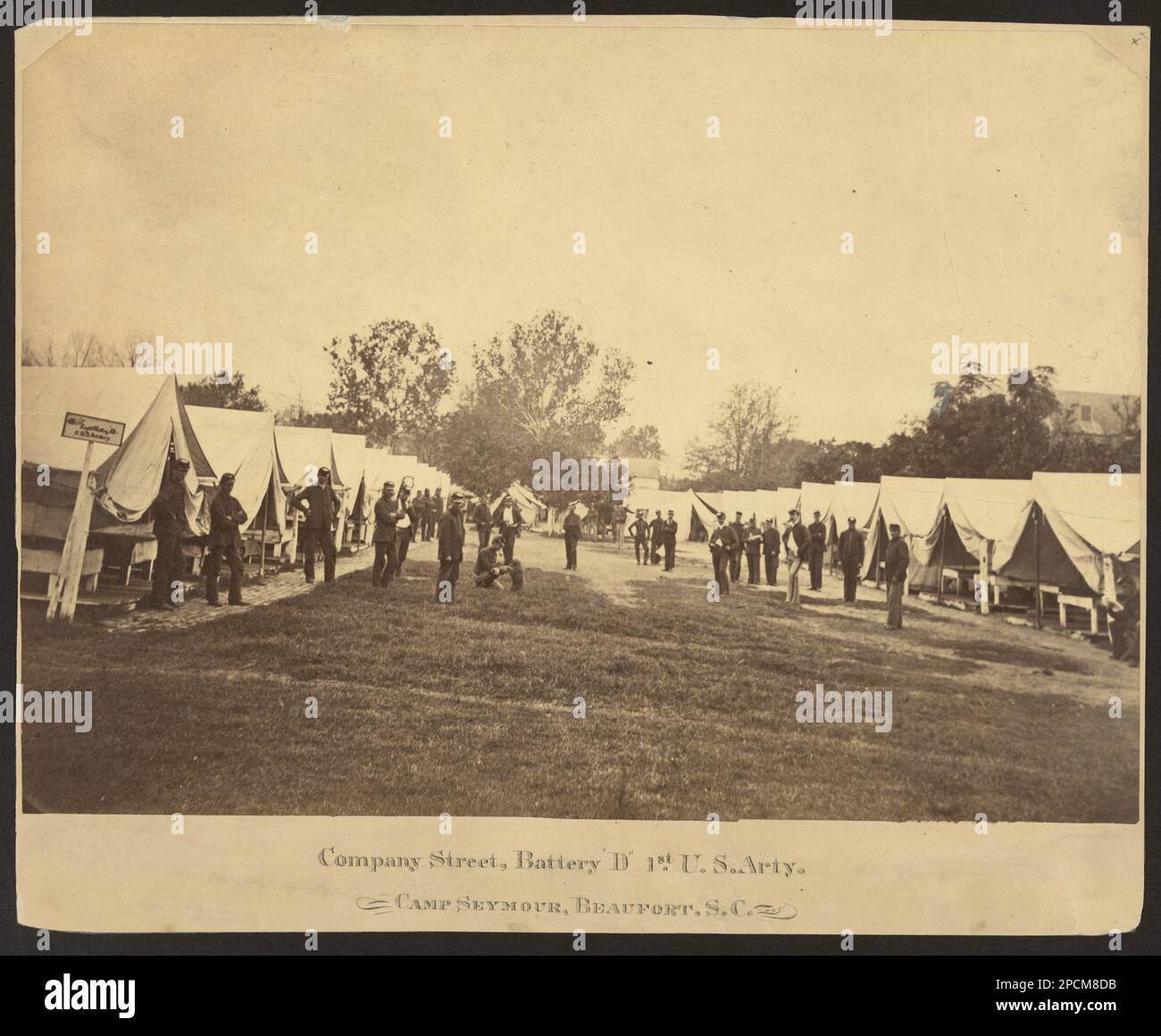 Company Street, Battery D, 1st U.S. Arty., Camp Seymour, Beaufort, S. C ...