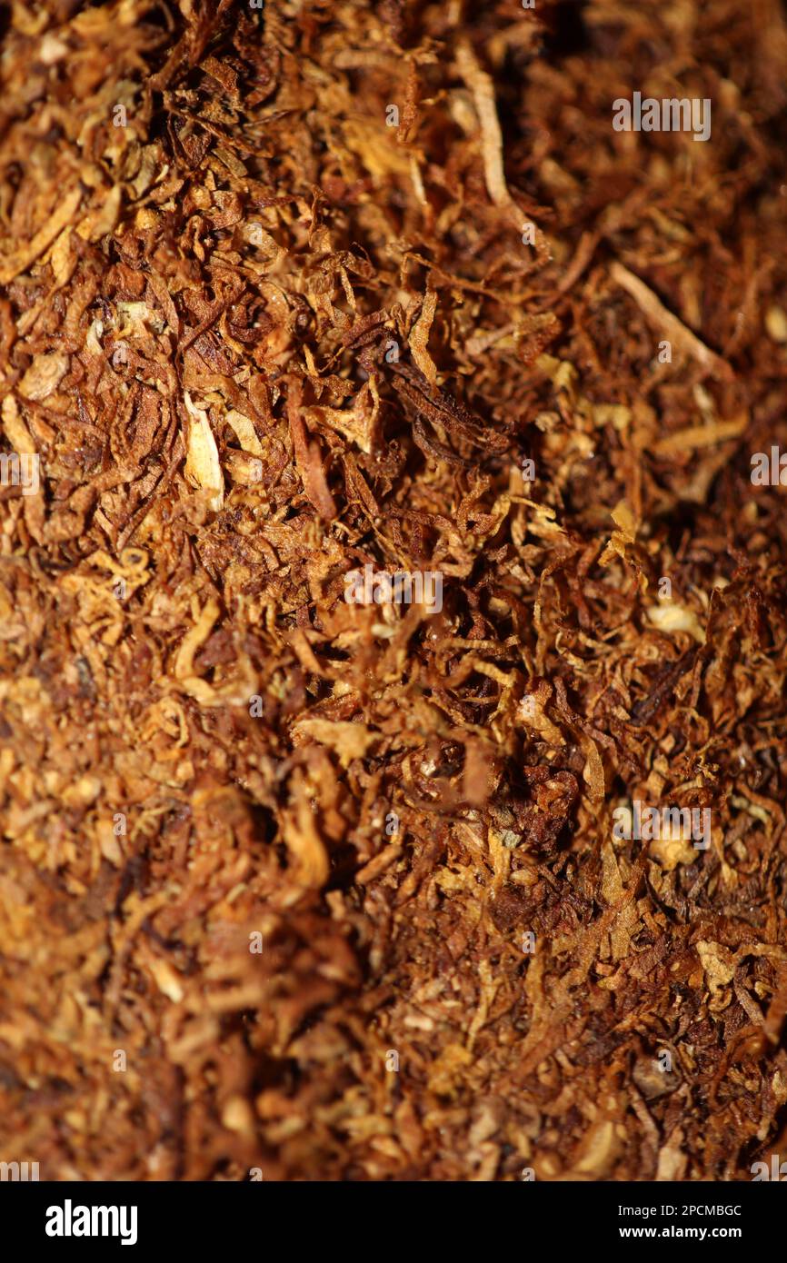Rolling tobacco close up background big size high quality stock photos ...