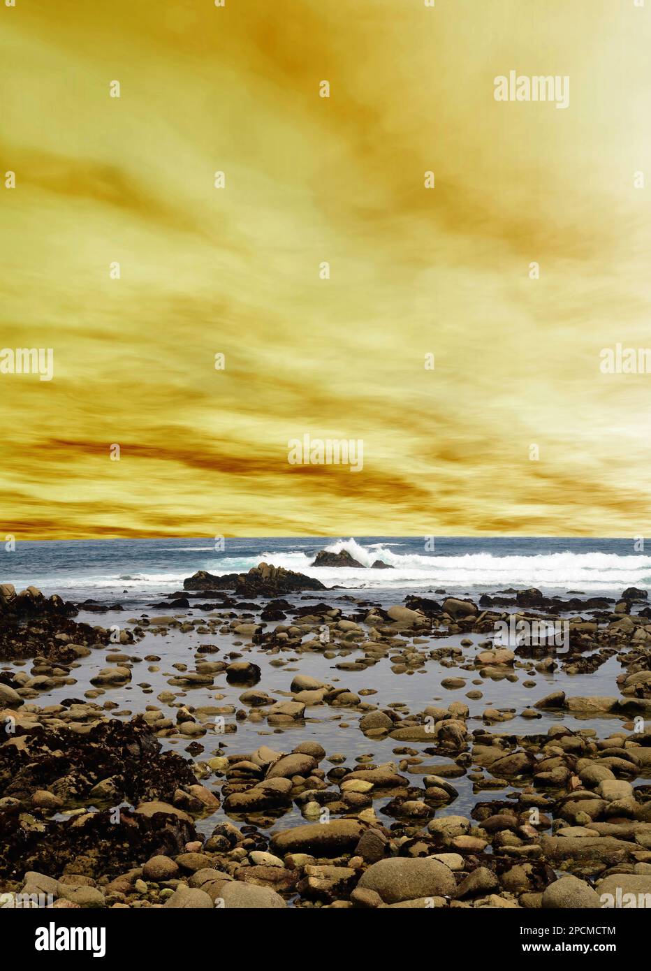 Asilomar State Marine Reserve Monterey Bay California Stock Photo - Alamy