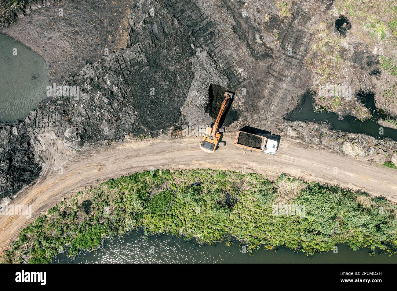 swamp area reclamation for building works. excavator loads soil into ...