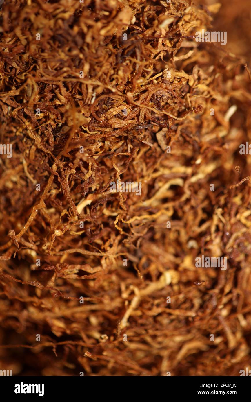 Rolling tobacco close up background big size high quality stock photos ...
