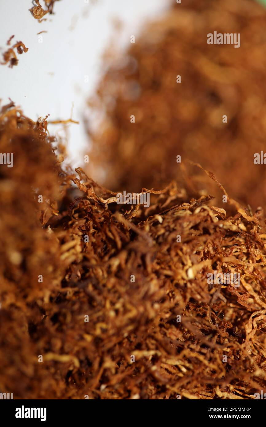 Rolling tobacco close up background big size high quality stock photos ...