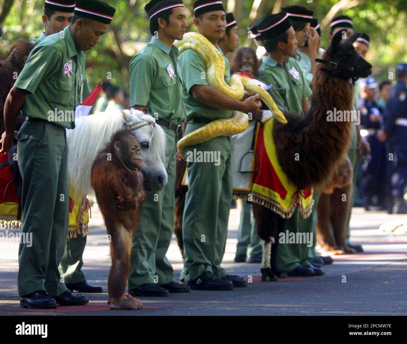 Keepers and animals attend the Independence day festival Thursday, Aug ...