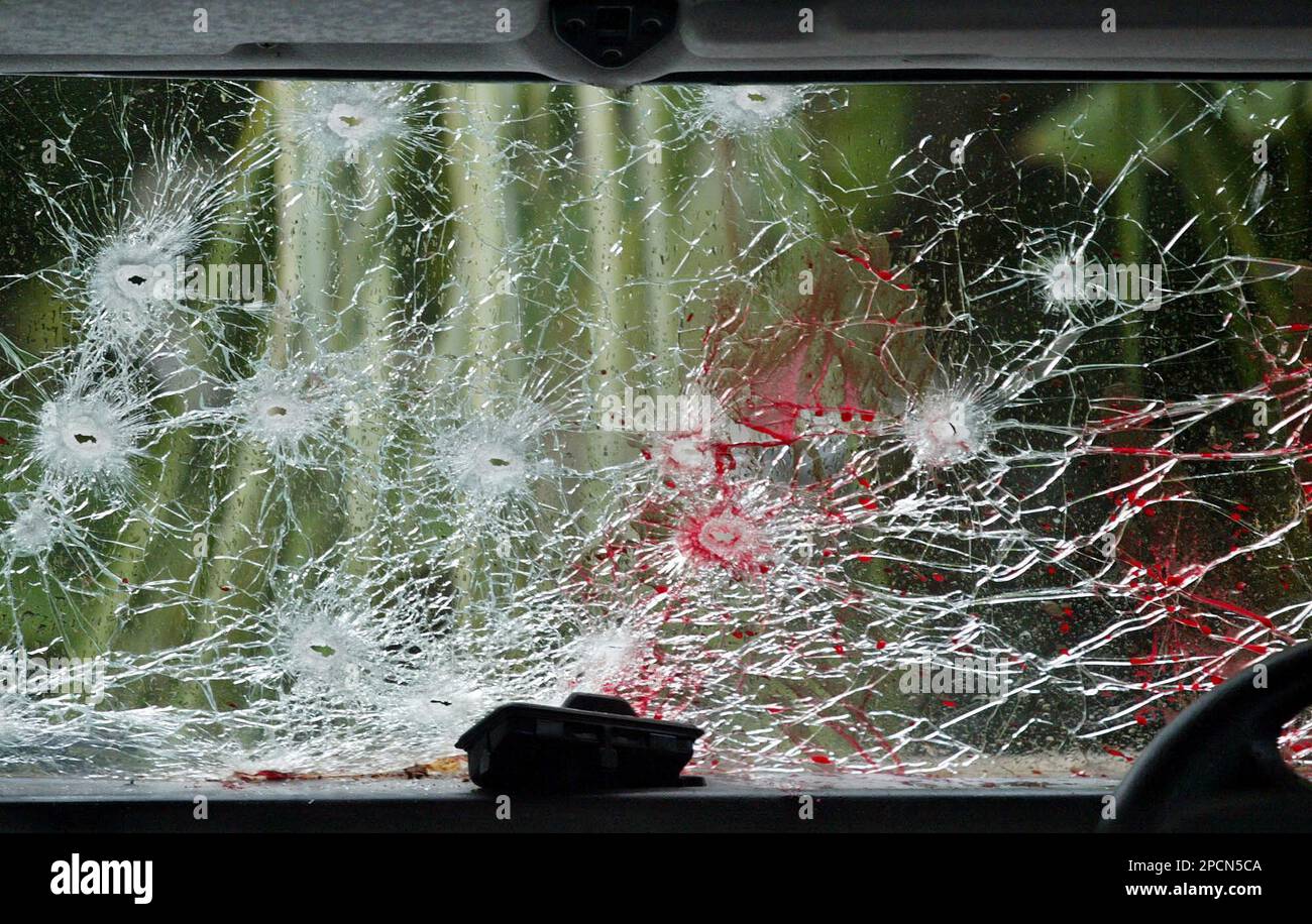 Bloodstains are seen on the shattered windshield of a car after an ...