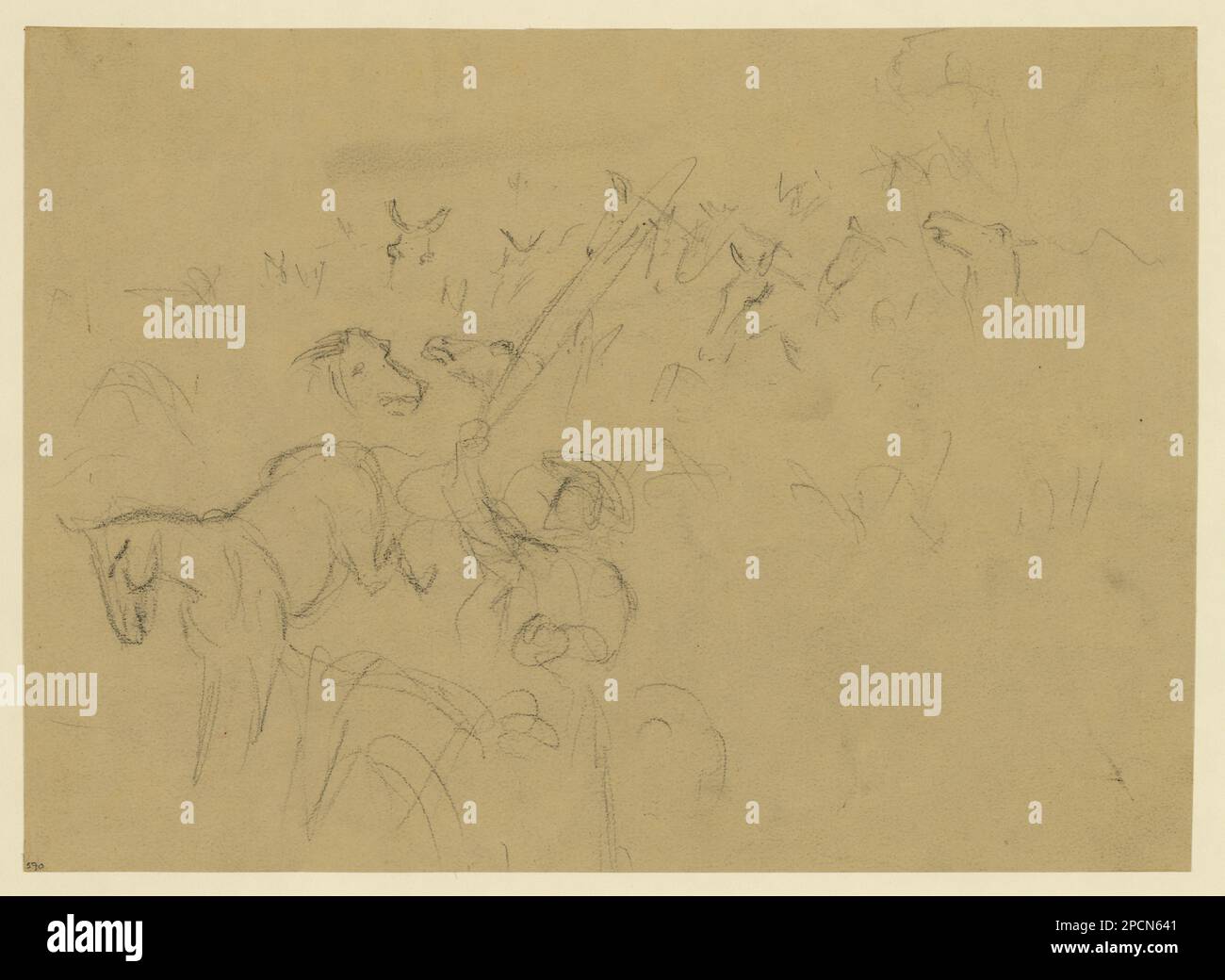 Horses being herded. Morgan collection of Civil War drawings. Horses ...