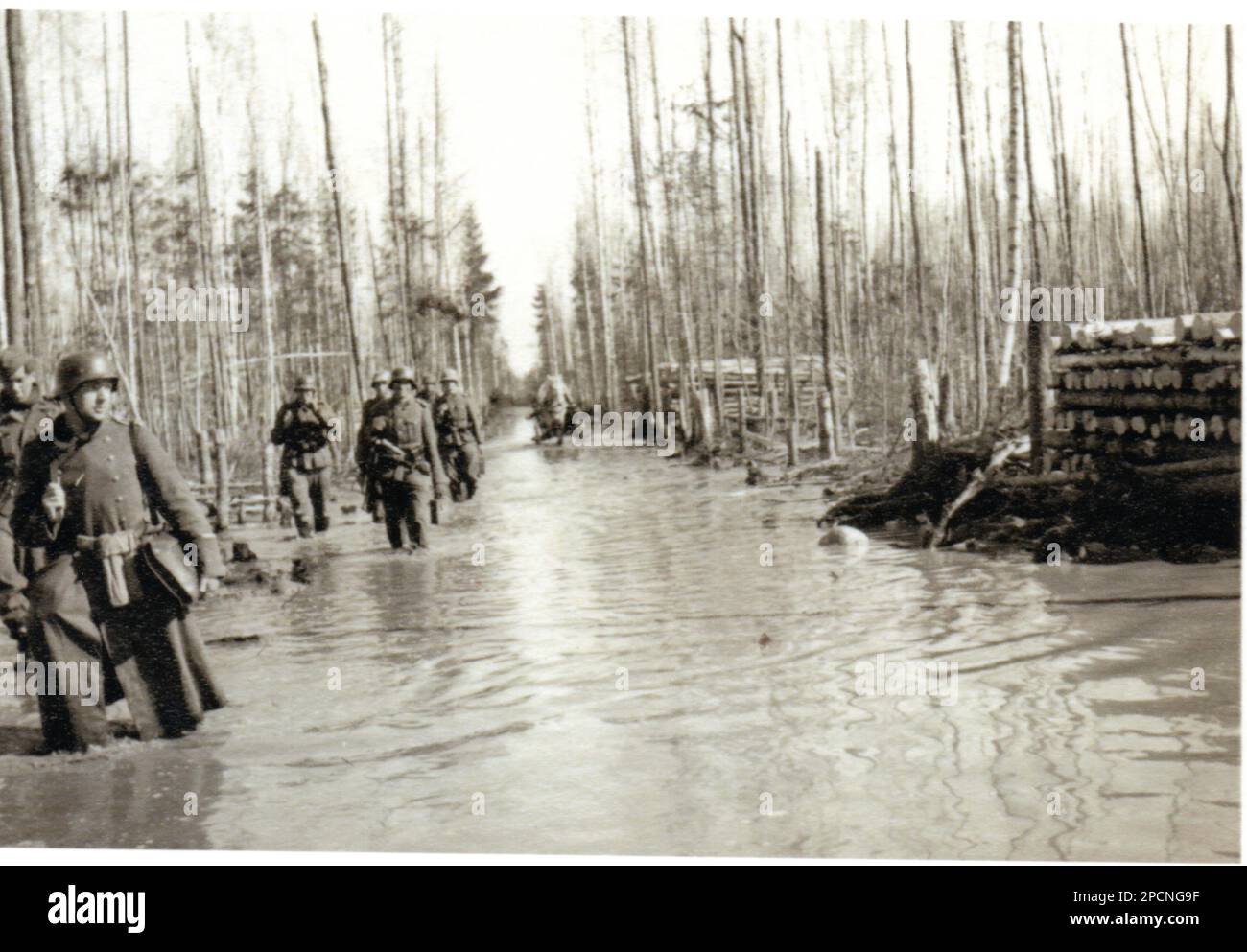 Wolchow forest in ww2 hi-res stock photography and images - Alamy