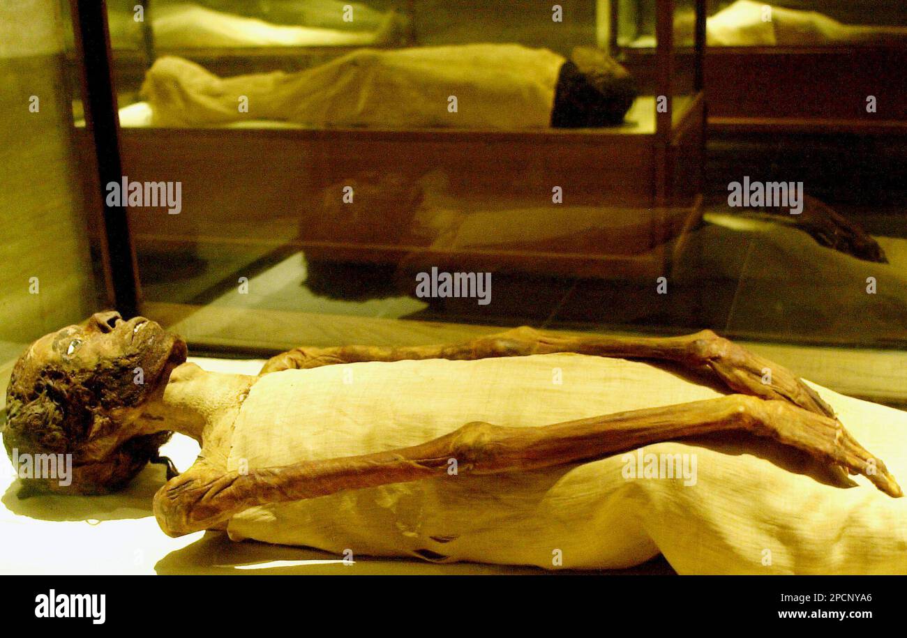 Pharaohs royal mummies rest during the openning of the new Mummy room ...