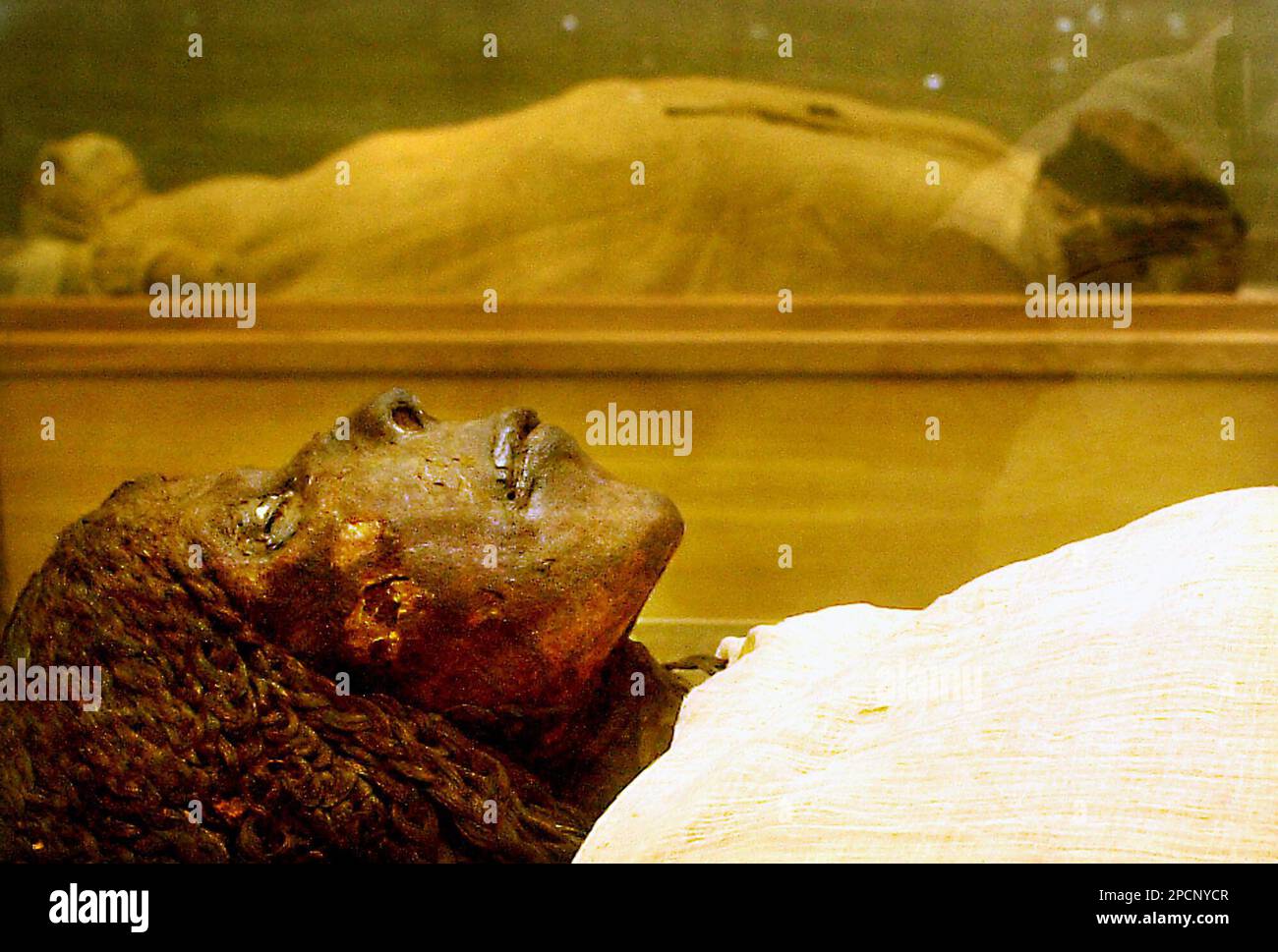 Pharaohs royal mummies rest during the openning of the new Mummy room ...