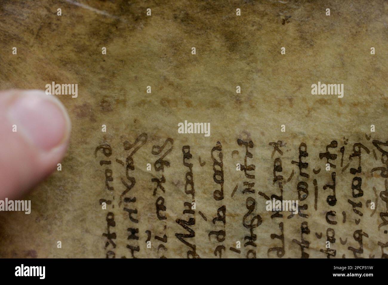 Abigail Quandt, Senior Conservator at the Walters Art Museum in ...