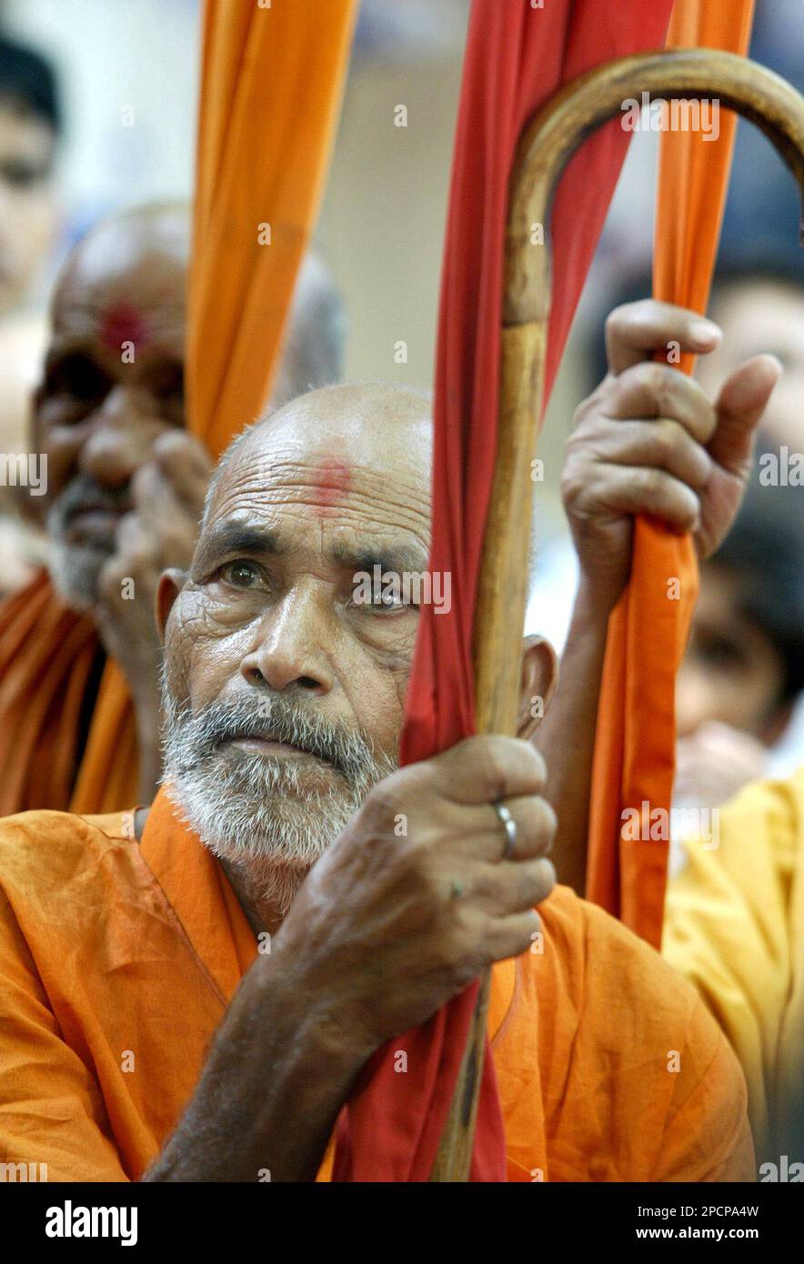 Hindu Hermit