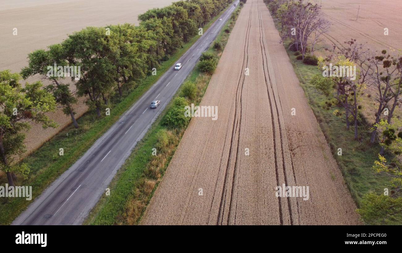 Highway road, driving cars and trees between the areas sown and ripened ...