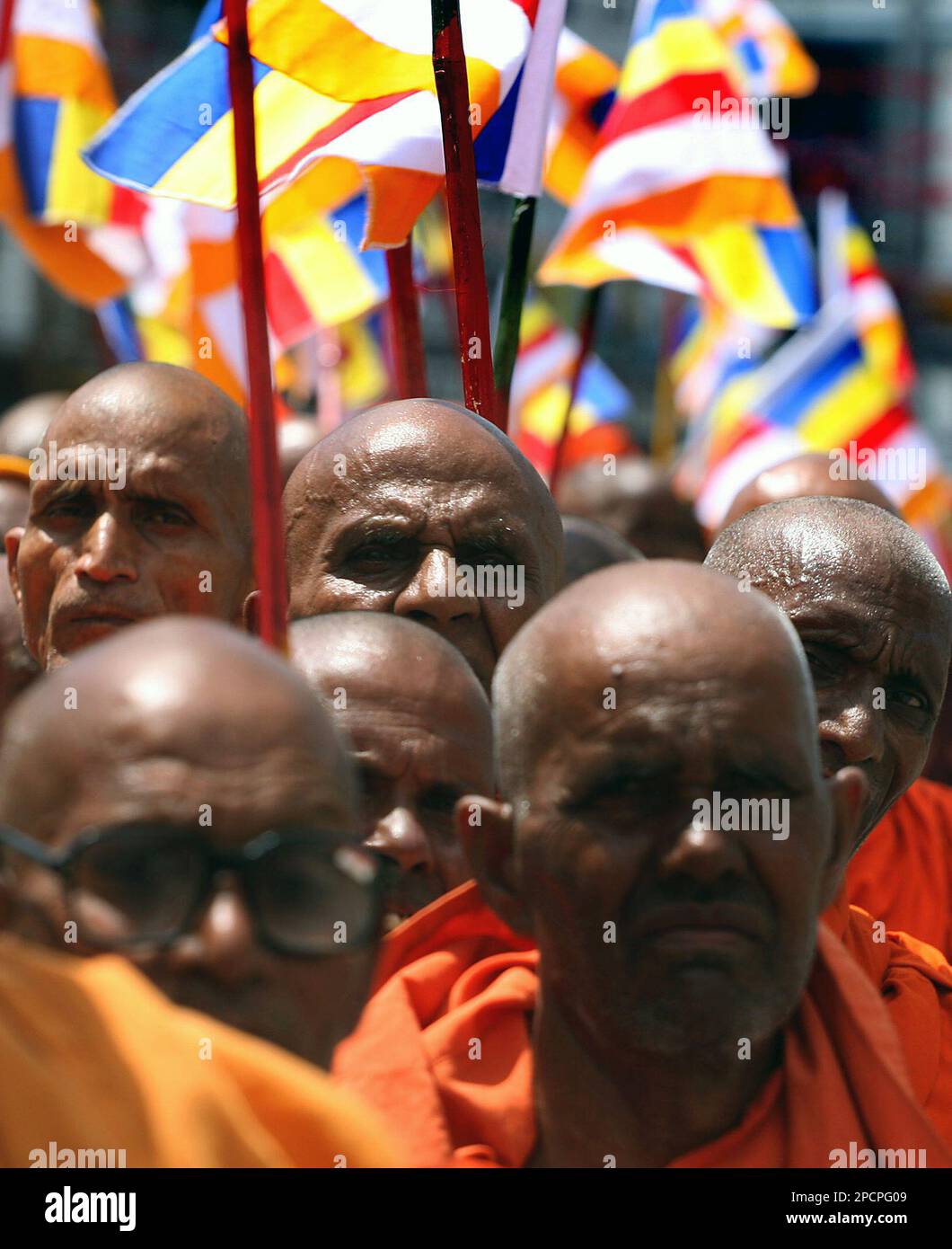 Buddhist monks protest against the alleged chopping of the holy ...