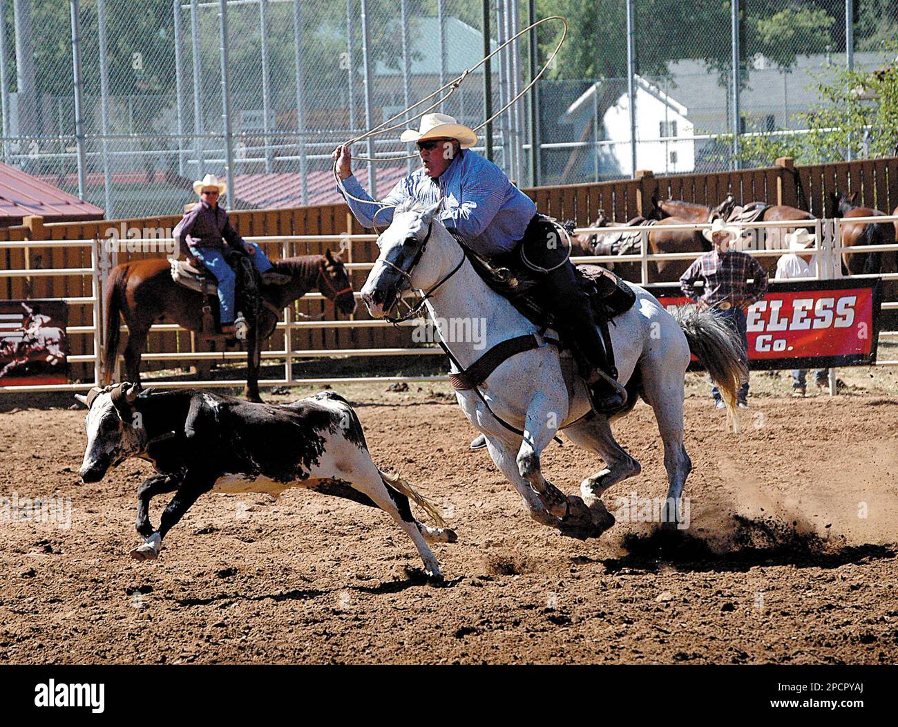 Anthony Herrera of Castle Rock, Colo., runs down a steer during the ...